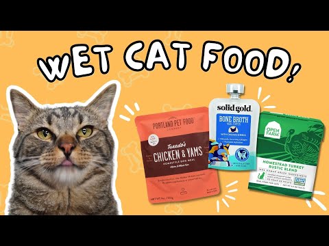 How To Pick A Wet Cat Food - BEGINNER'S GUIDE (Price, Quality, Ingredients, Packaging) + Links!