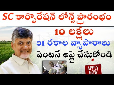 Sc Corporation Loans Apply Process & Details | Ap Sc Corporation Loans Full Details
