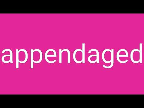 Appendaged Definition & Meaning