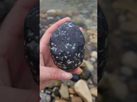 Amygdaloidal Basalt AKA Galaxy Stone - #rockhounding #rocks #minerals #stone #lakemichigan #geology