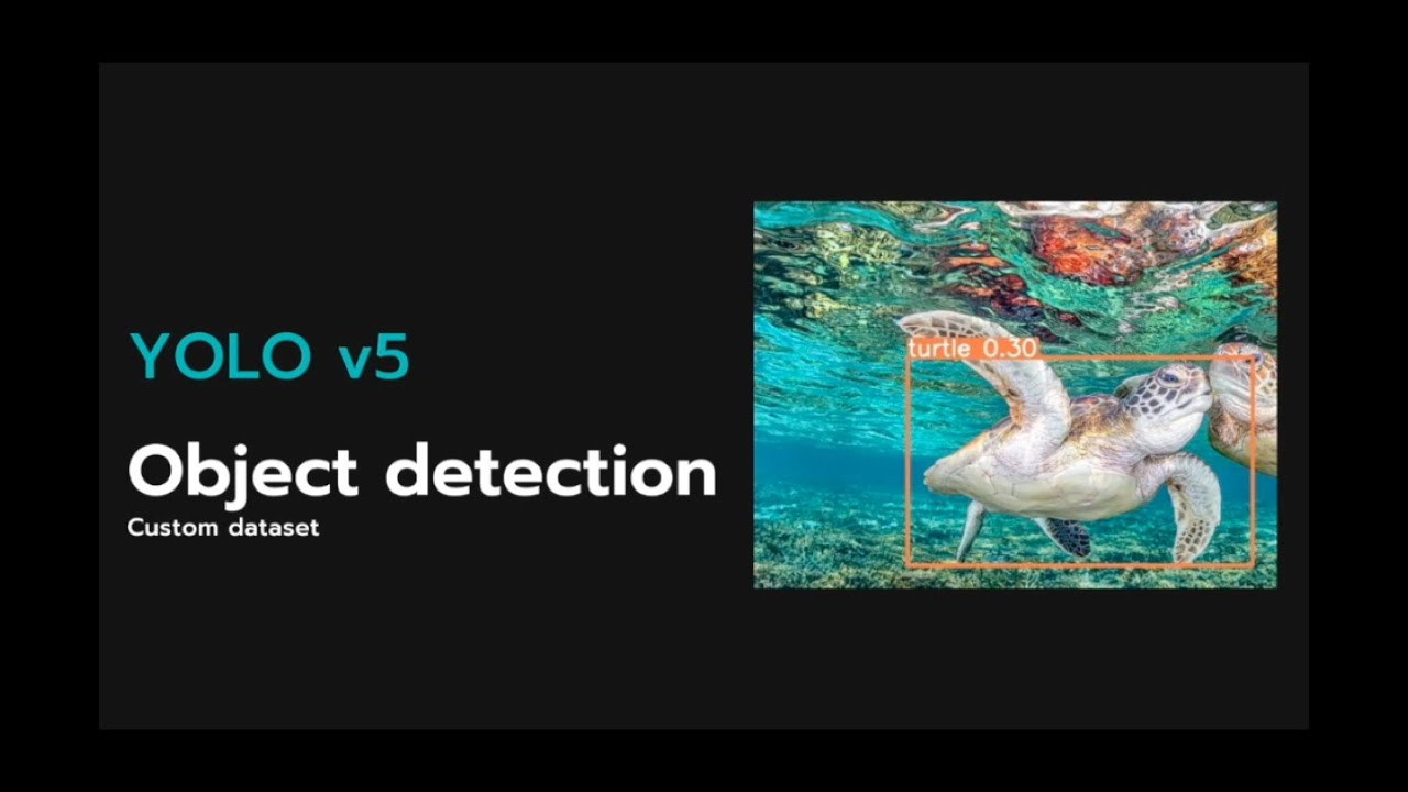 YOLO object detection with custom dataset