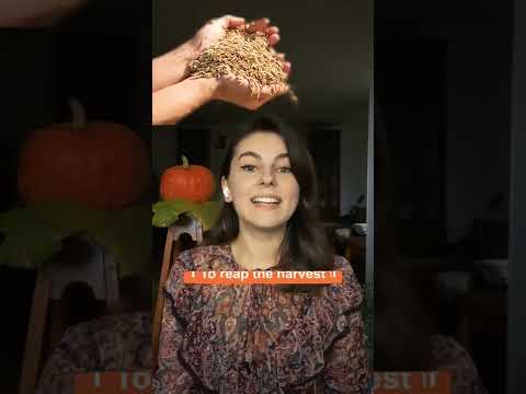 English Idioms About Autumn