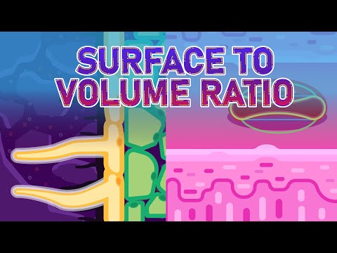 What are Specialized Cells and What is Surface to Volume Ratio?