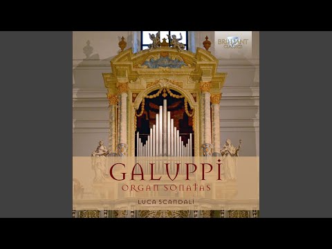 Organ Sonata in G Minor, R.A. 1.12.01: I. Largo, Allegro