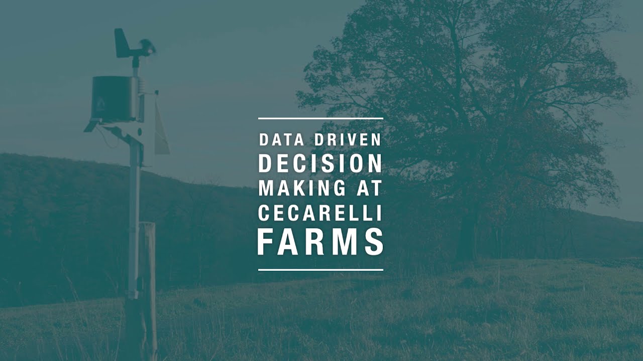 Data Driven Decision Making at Cecarelli Farms