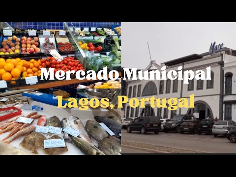 WHAT'S INSIDE LAGOS PUBLIC MARKET | PLUS OVERLOOKING VIEW | ALGARVE, PORTUGAL
