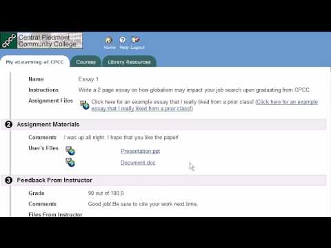 How to check your grades online through Blackboard