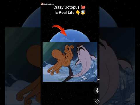 Crazy Octopus ๐ฆ๐๐คฏ on google map and google earth ๐ #earthlocation2m #short