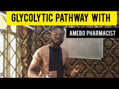 THE GLYCOLYTIC PATHWAY