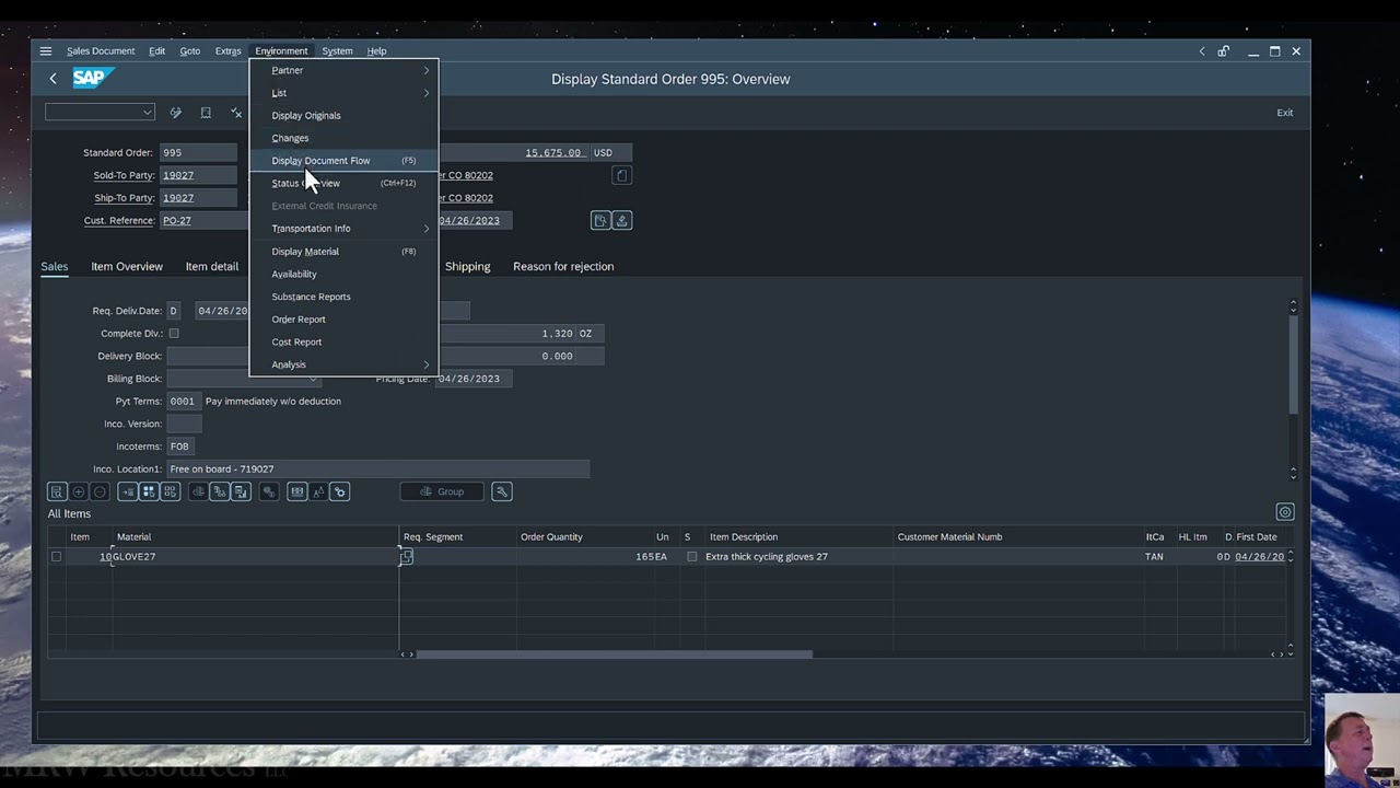 SAP - Display Document Flow (SD)