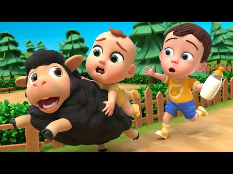 Baa Baa Black Sheep | Newborn Baby Songs & Nursery Rhymes