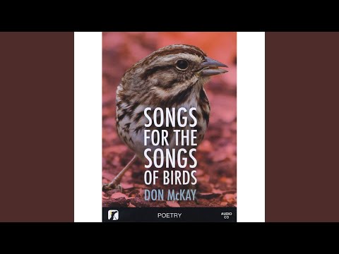 Song for the Song of the Varied Thrush