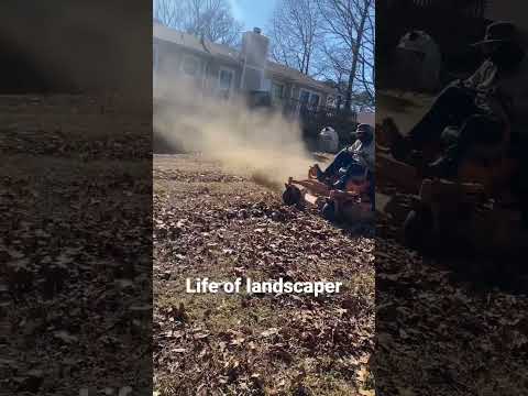 The lawn guy in birmingham al