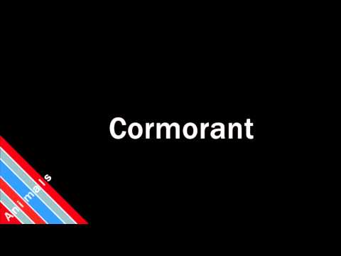 How to Pronounce Cormorant