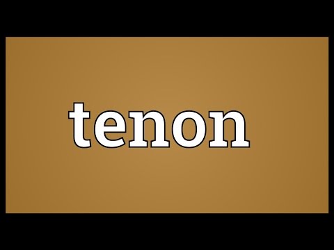 Tenon Meaning