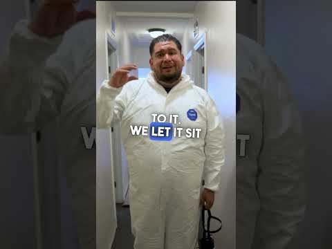 "Mold Problems Vanish with Our Thermal Fogging Services! π¬οΈπͺ" #855GOTCLOG #shorts
