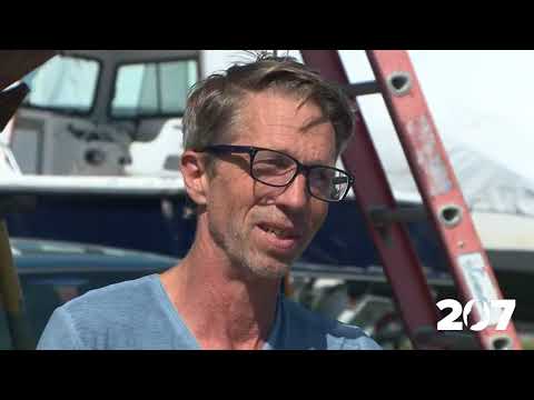 A portrait of an artist on the Maine coast
