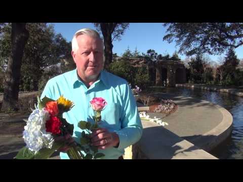 The Meaning of Flowers - In the Garden with Dave