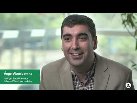 Why Veterinary Medicine? With Ángel Abuelo, DVM | Merck Vet Manual