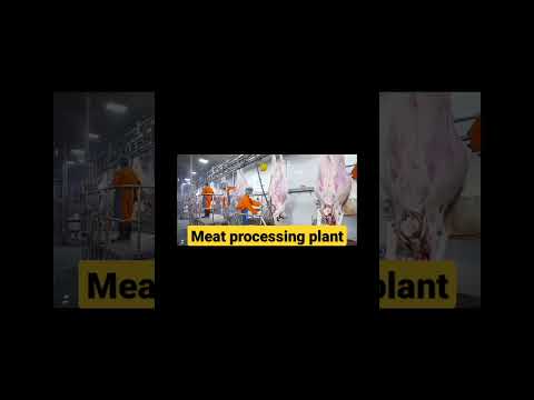 MEAT PROCESSING PLANT