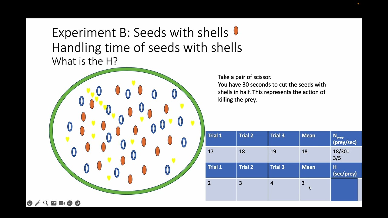 Lab 12 Population Ecology