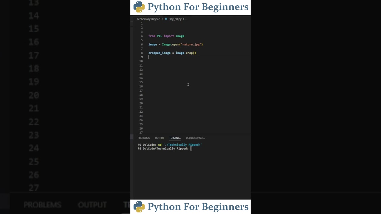 How To Crop An Image Using Python | Python For Beginners