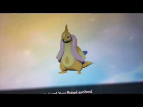 Evolving shiny buizel