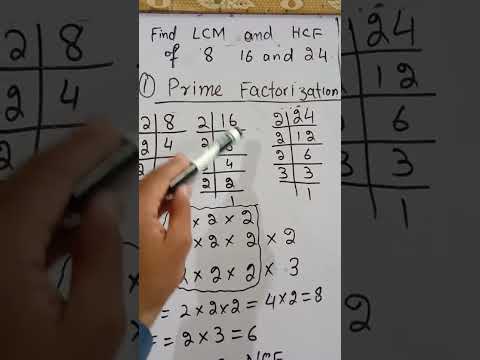 LCM of 8 16 and 24 | HCF of 8 16 and 24 | prime factors of 8 16 and 24 | concepts and steps