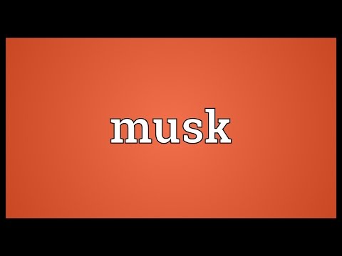 Musk Meaning