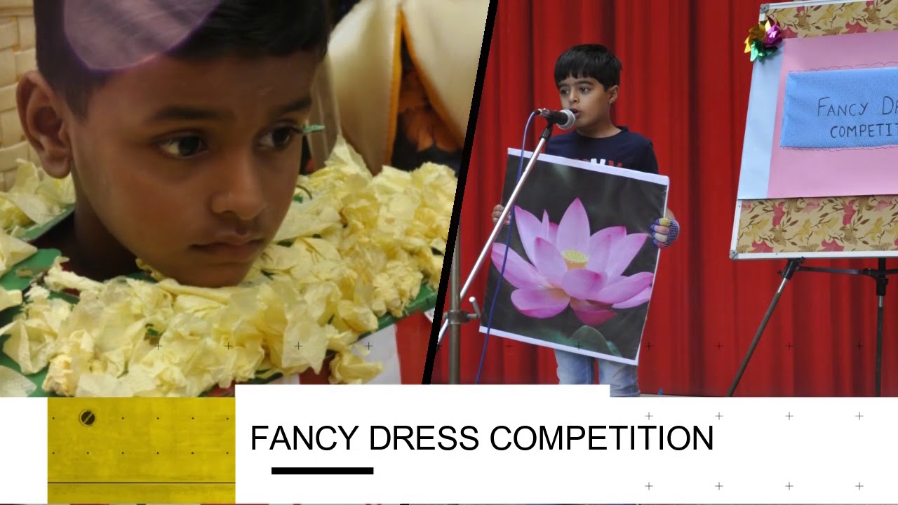Edify School Nagpur (Activities July - August 2018)