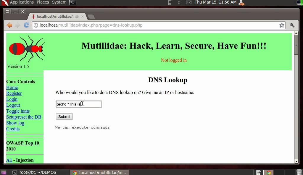 HTTP POST PHP Command Injection Demo 1