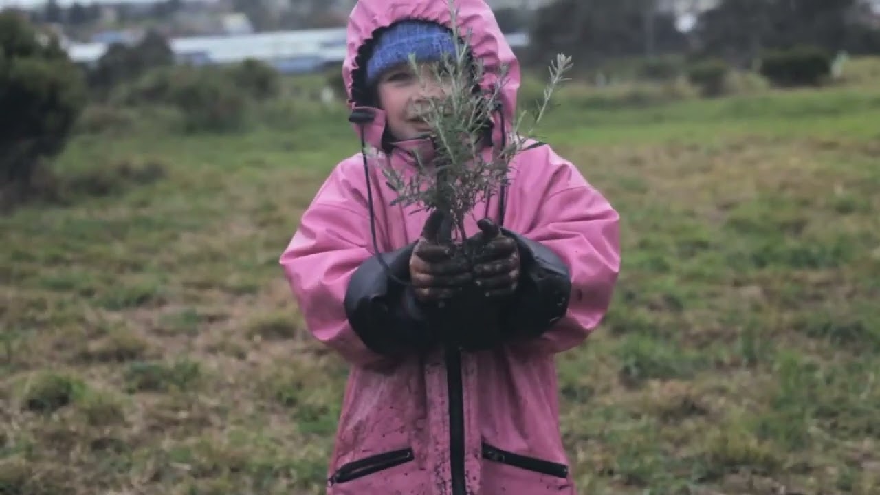 Warrnambool Coastcare Landcare Network video snippets