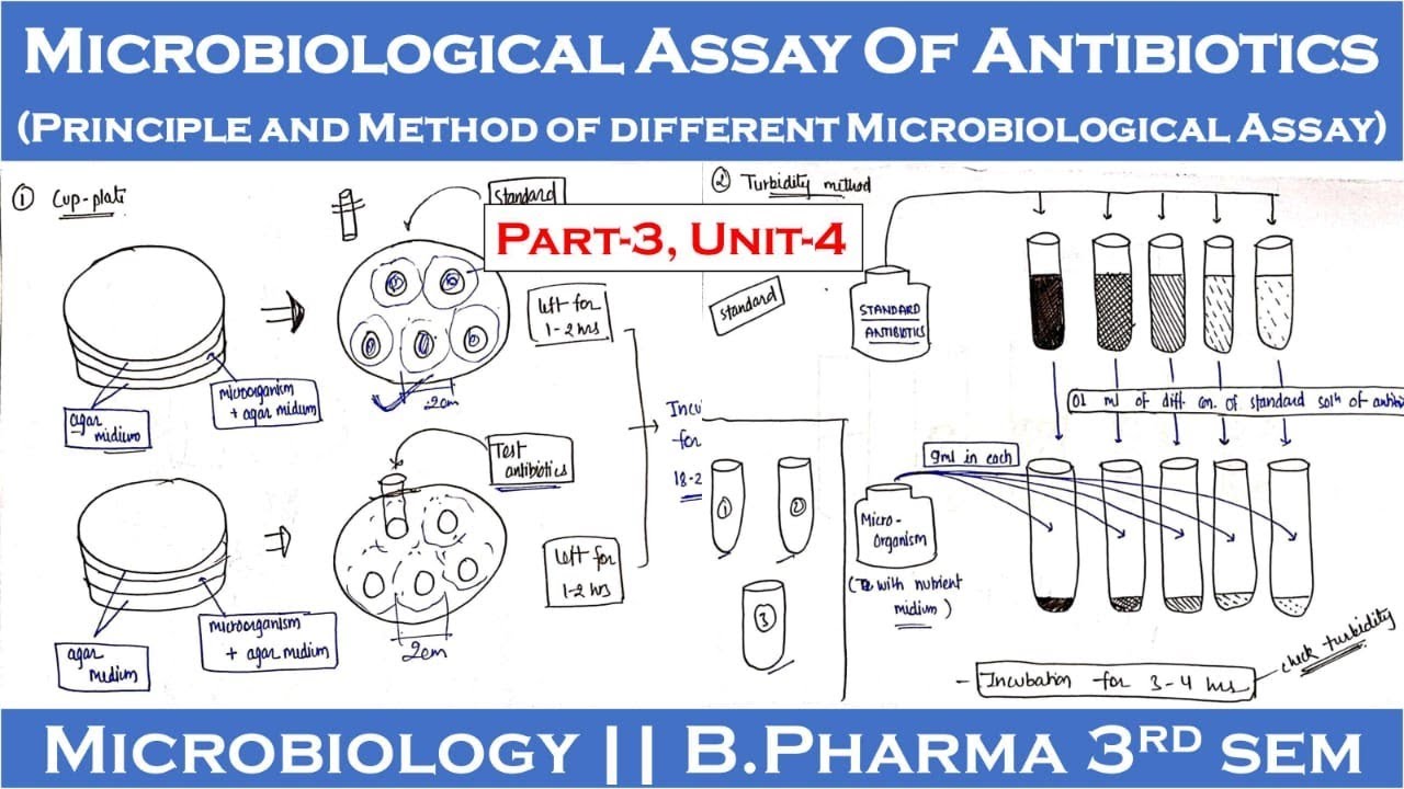 Microbiological assay of antibiotics | Principle and method of different microbiological assay | P-3