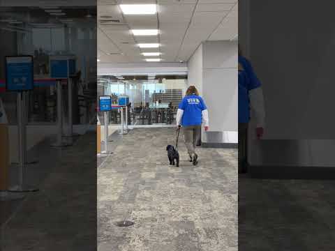 Travel from one of the easiest airport in MN!