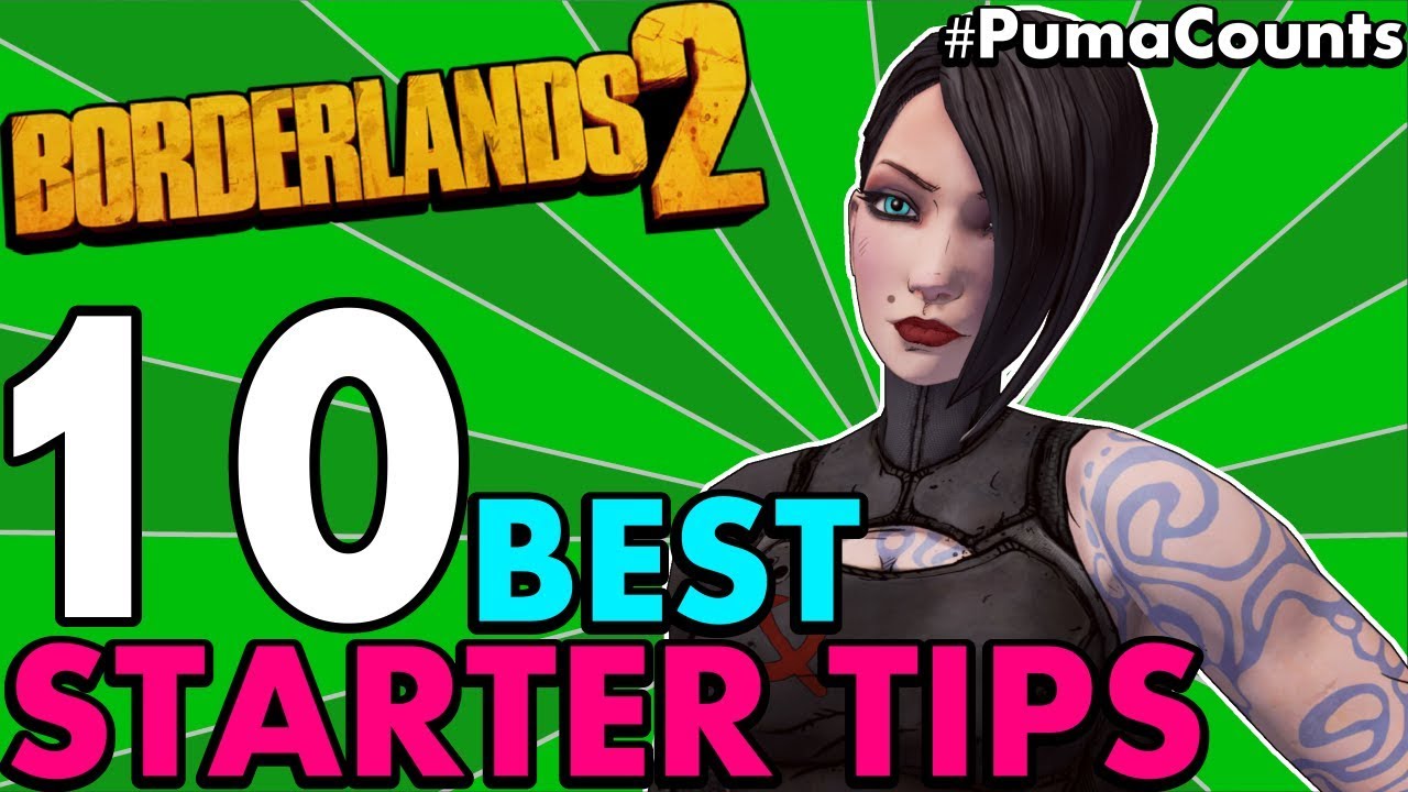 Top 10 Best Starter and Beginner Tips for Borderlands 2 (Class & Weapon Recommendations) #PumaCounts