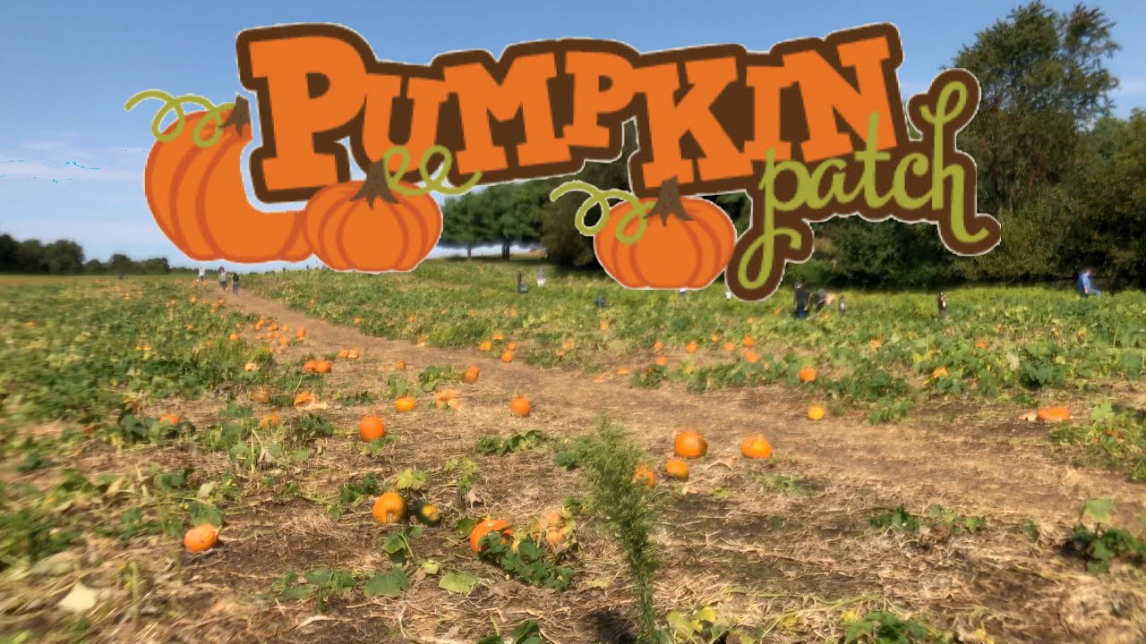 Pumpkin Patch Trip 2020