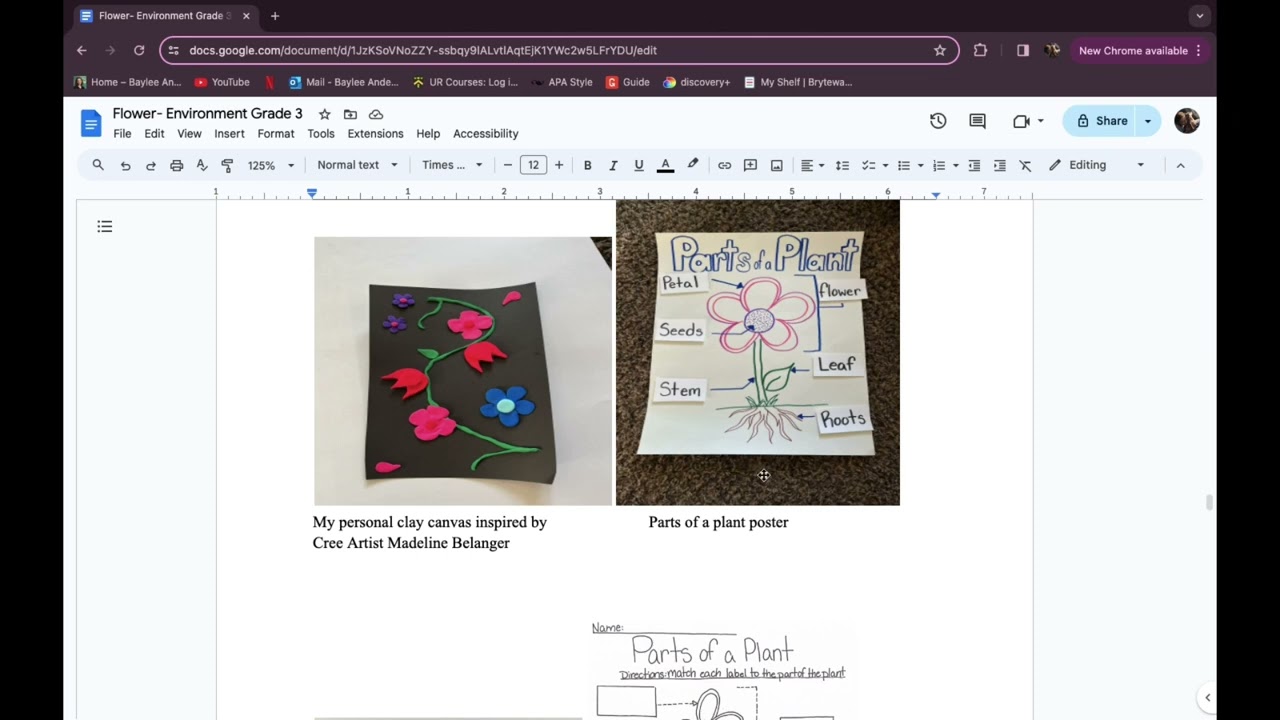 This is my Assessment Plan Showcase for ECS 401