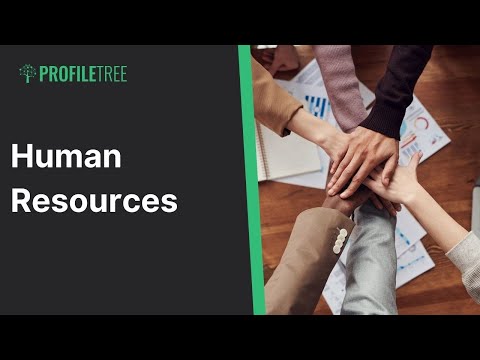 Human Resources | HR | Human Resources in Business | Human Resource Management | Business | Retail