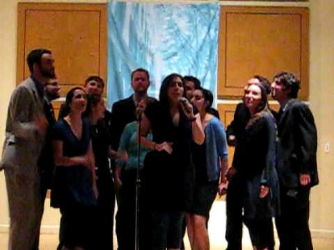 Shir Appeal JCFPA February 8, 2009 - Kayitz