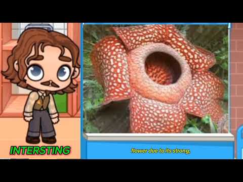 Unique World Facts Worth Knowing
