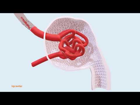 Clearance de Creatinina en 3 minutos