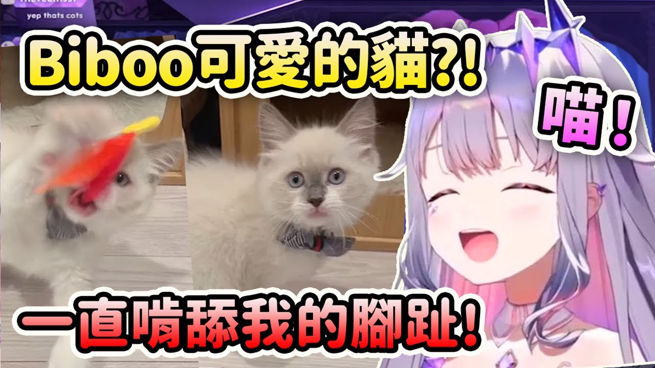 Biboo的貓John Cat來了! 超可愛又傲嬌一直啃舔Biboo的腳趾？【Koseki Bijou】【Hololive 中文 ...