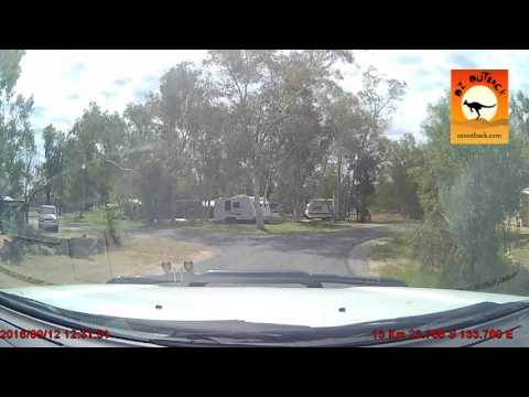 Wanngardi Park Caravan Park - Alice Springs, Northern Territory