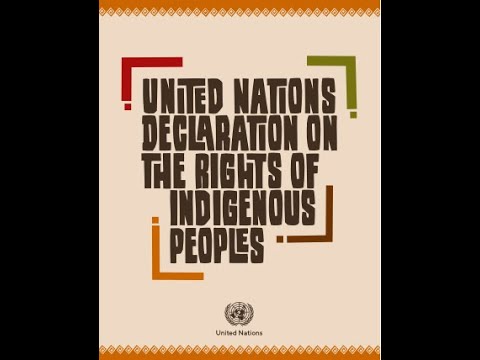 UNDRIP