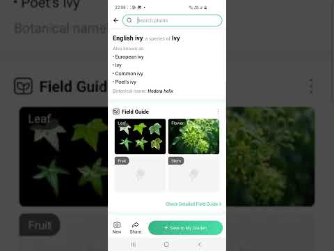 My Favorite Plant App - The One I Always Recommend