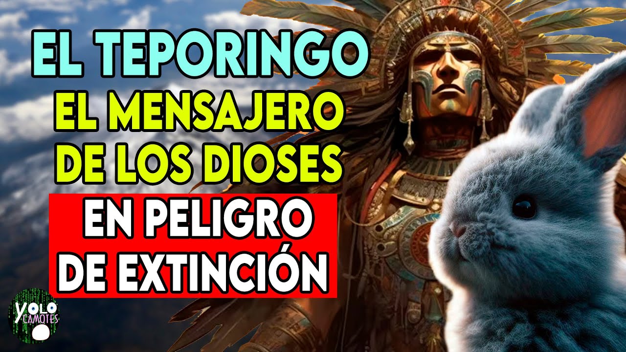 THE TEPORINGO THE MESSENGER OF THE GODS IN DANGER OF EXTINCTION