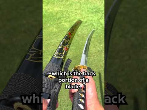 Is Your Anime Katana CURSED? The Mysterious Muramasa Blades Revealed