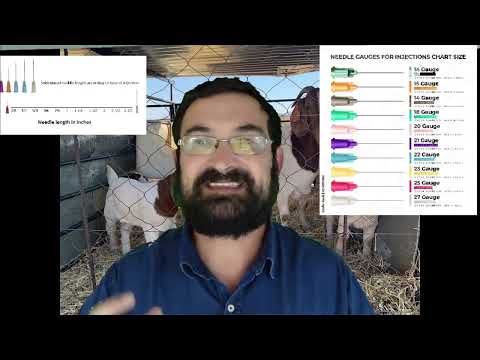 How to inject your Cattle, sheep and goats