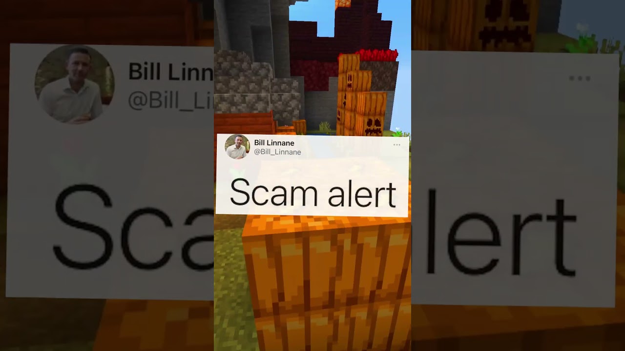 tweets about SCAMS 💸