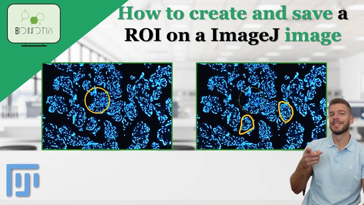 How to create and save a ROI on ImageJ to use in other images #imagej #roi #analysis #imageanalysis